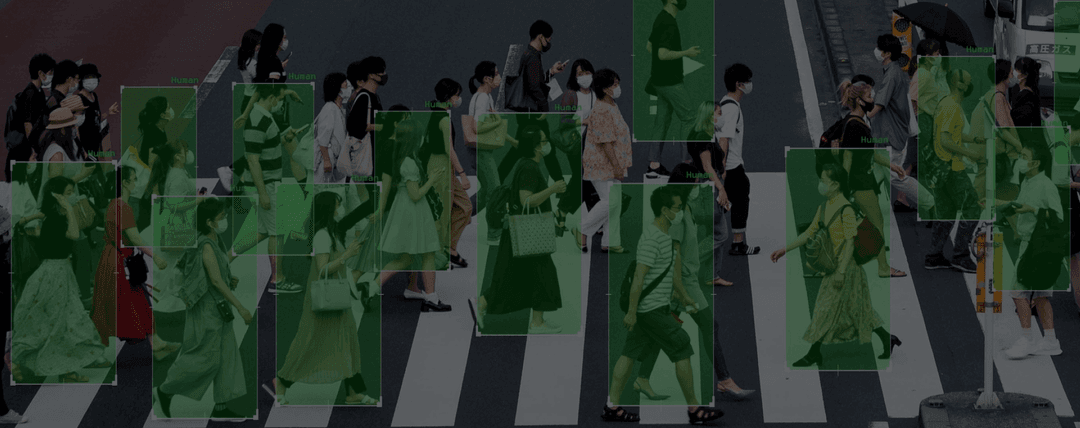 ScyllaNet vs YOLOv8: Evaluating Performance and Capabilities